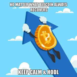 Top 27 Must See Bitcoin Memes That Went Viral - UEEx Technology