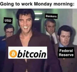 Top 27 Must See Bitcoin Memes That Went Viral - UEEx Technology